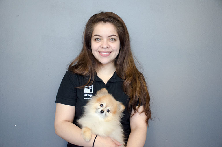 About | Stay Dog Hotel